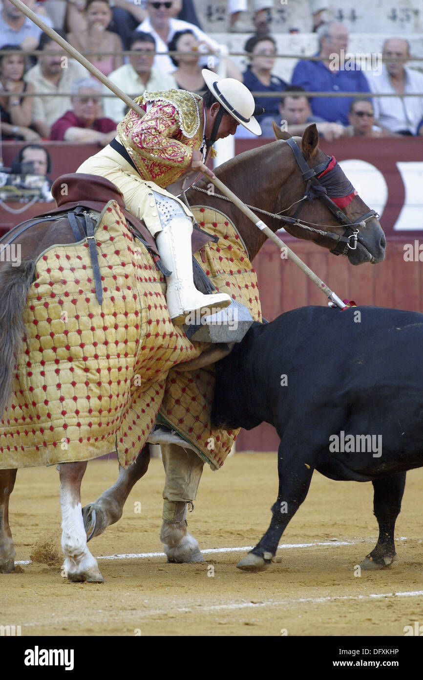 Picador image hi-res stock photography and images - Alamy