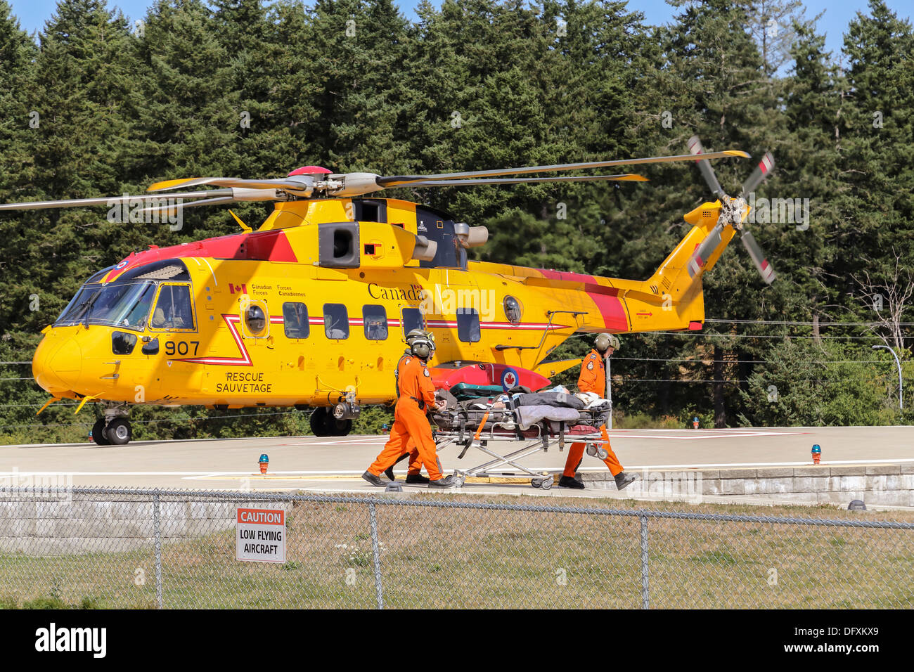 Canadian Forces Crew Move Patient from a CH-149 Cormorant Helicopter at ...