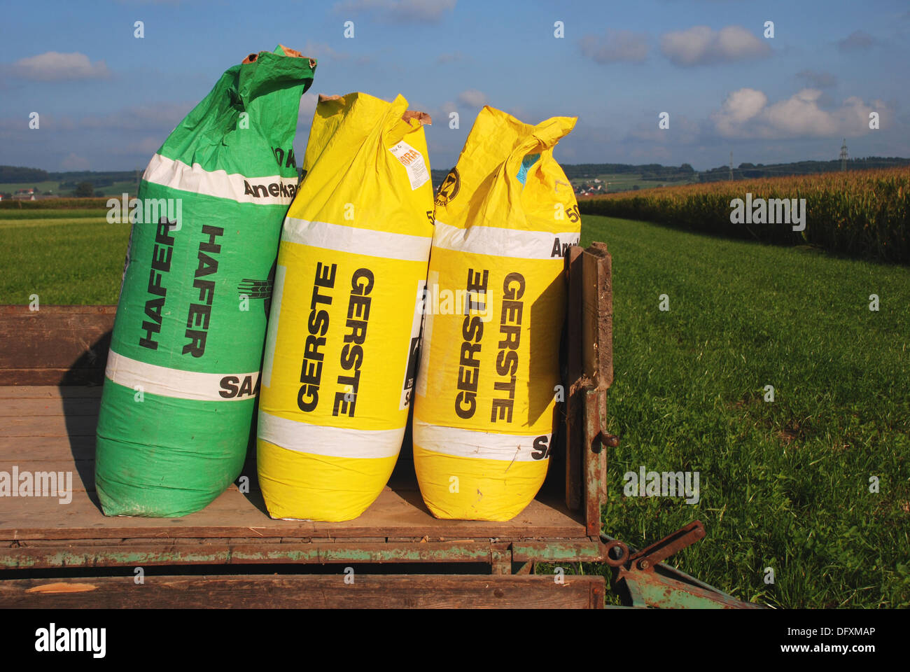 Bags of seed hi-res stock photography and images - Alamy