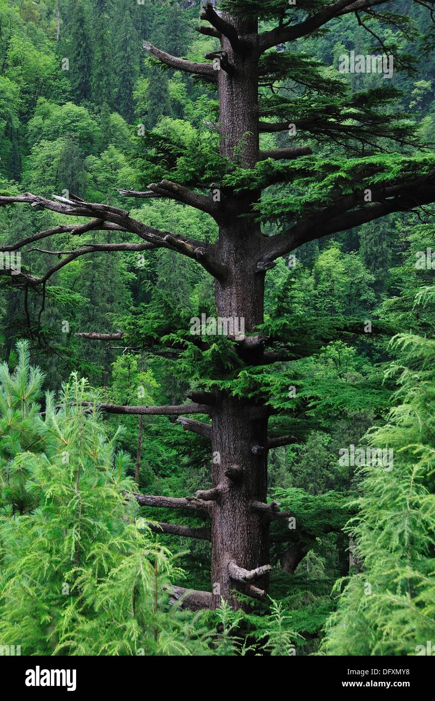 Deep rest hi-res stock photography and images - Alamy