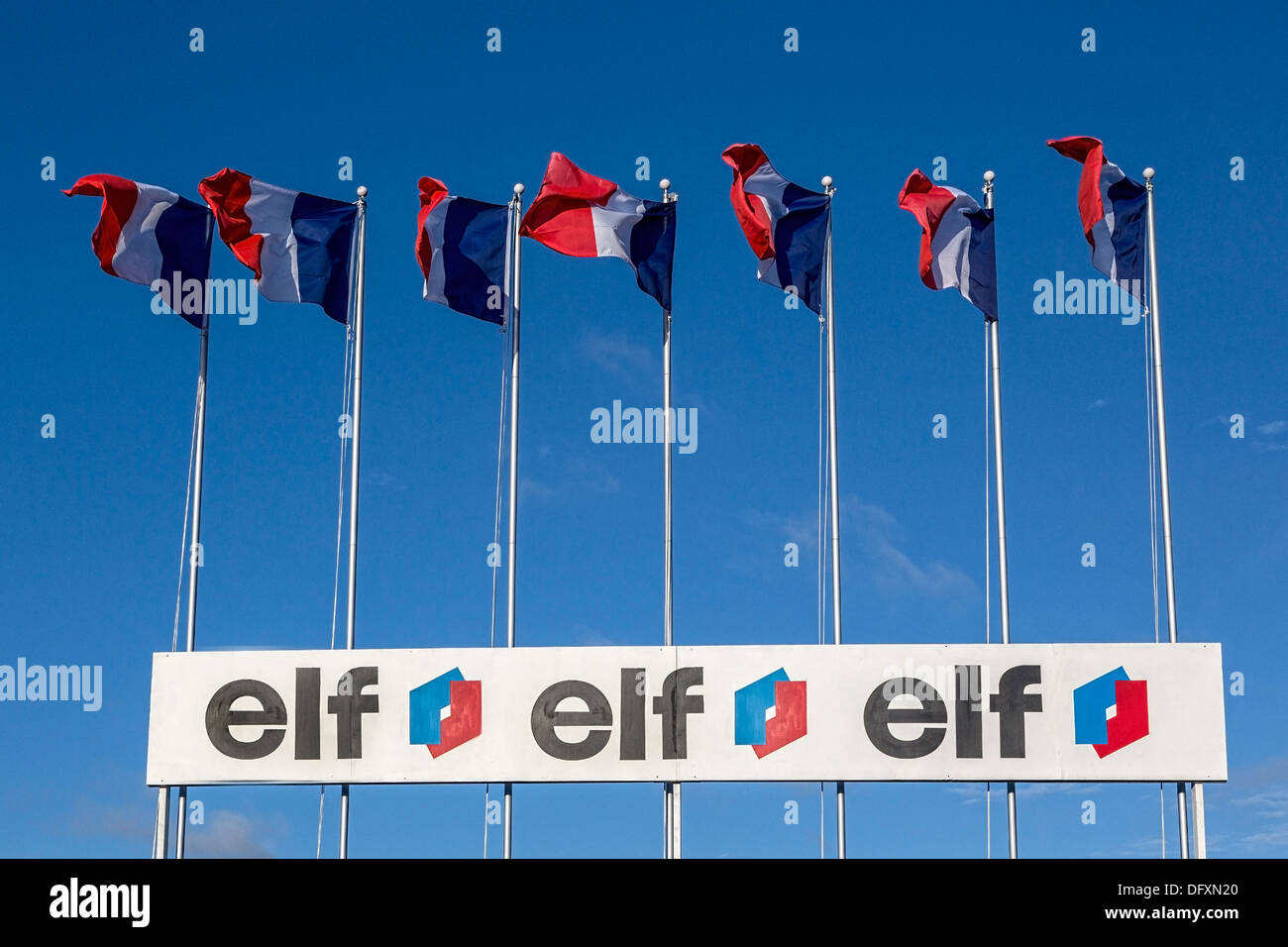 French Tricolor flags against a blue sky above the ELF banner at the ...