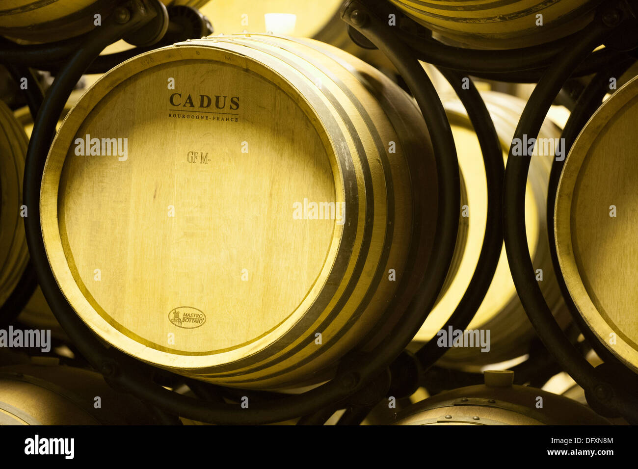 french wine barrels in vineyard italy Stock Photo - Alamy