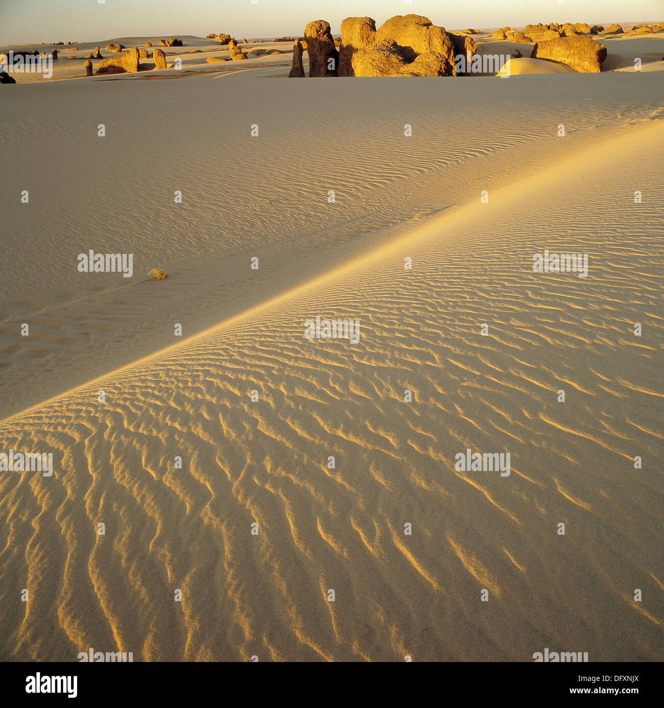 Tenere desert rock hi-res stock photography and images - Alamy
