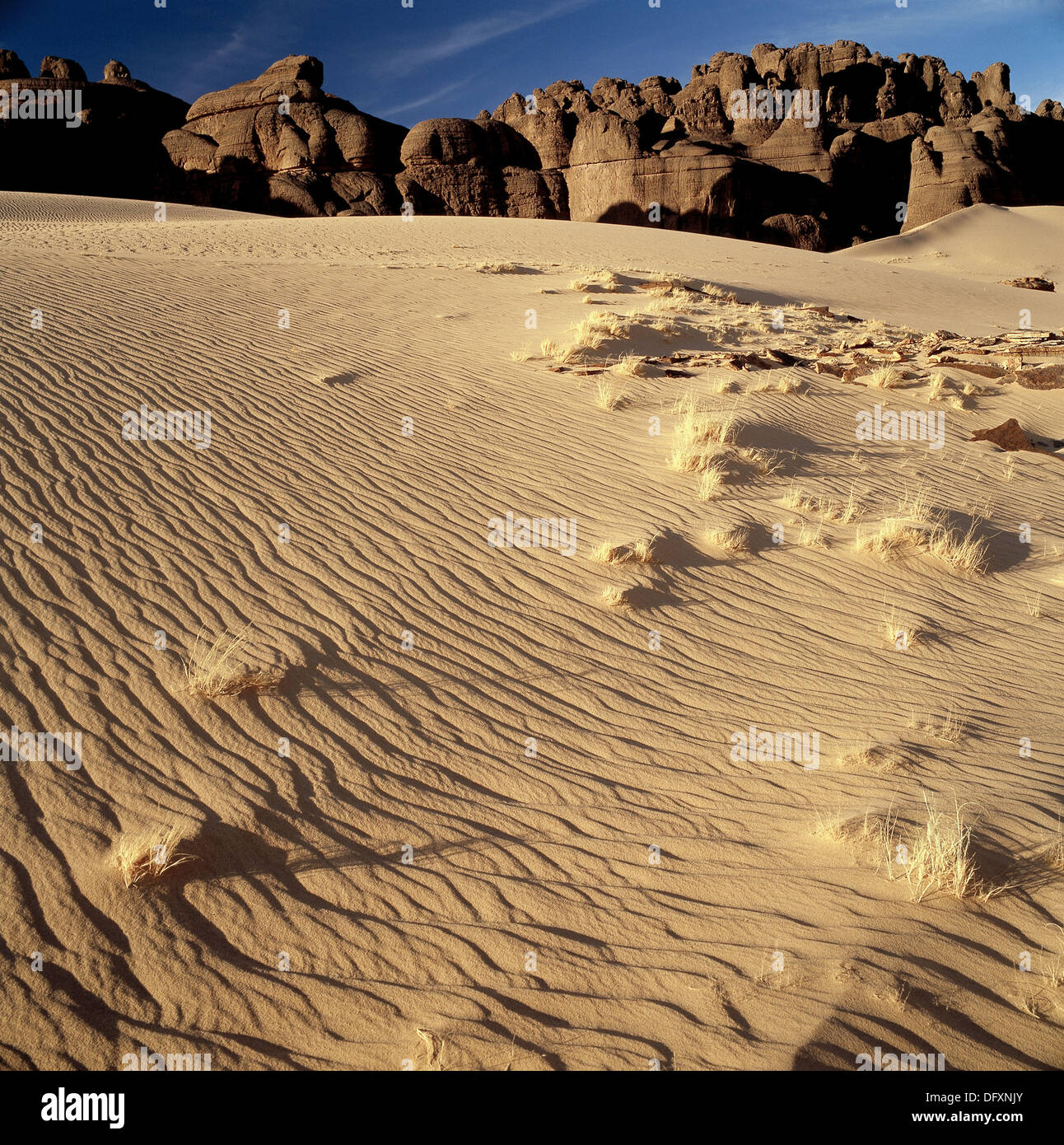 Tenere Desert Rock High Resolution Stock Photography and Images - Alamy