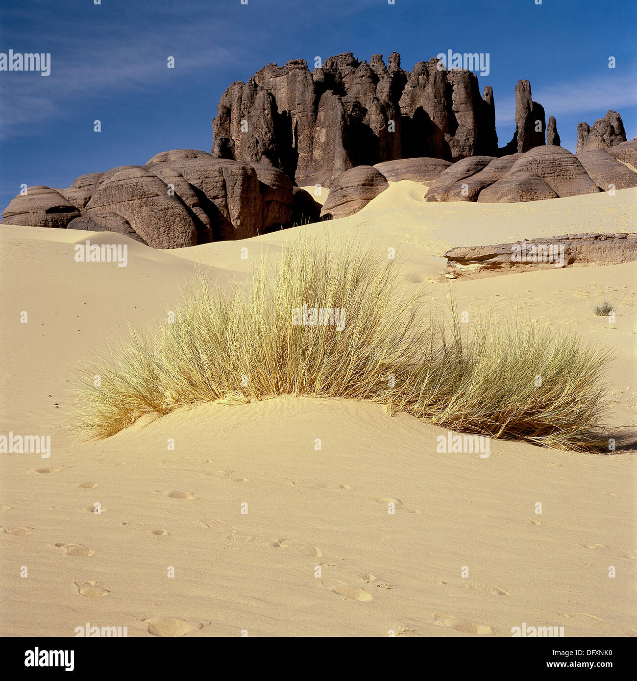 Tenere Desert Rock High Resolution Stock Photography and Images - Alamy