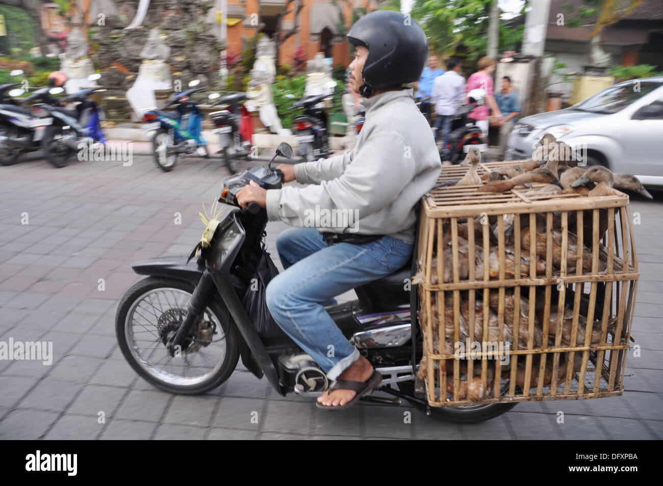Motor cage hi-res stock photography and images - Alamy