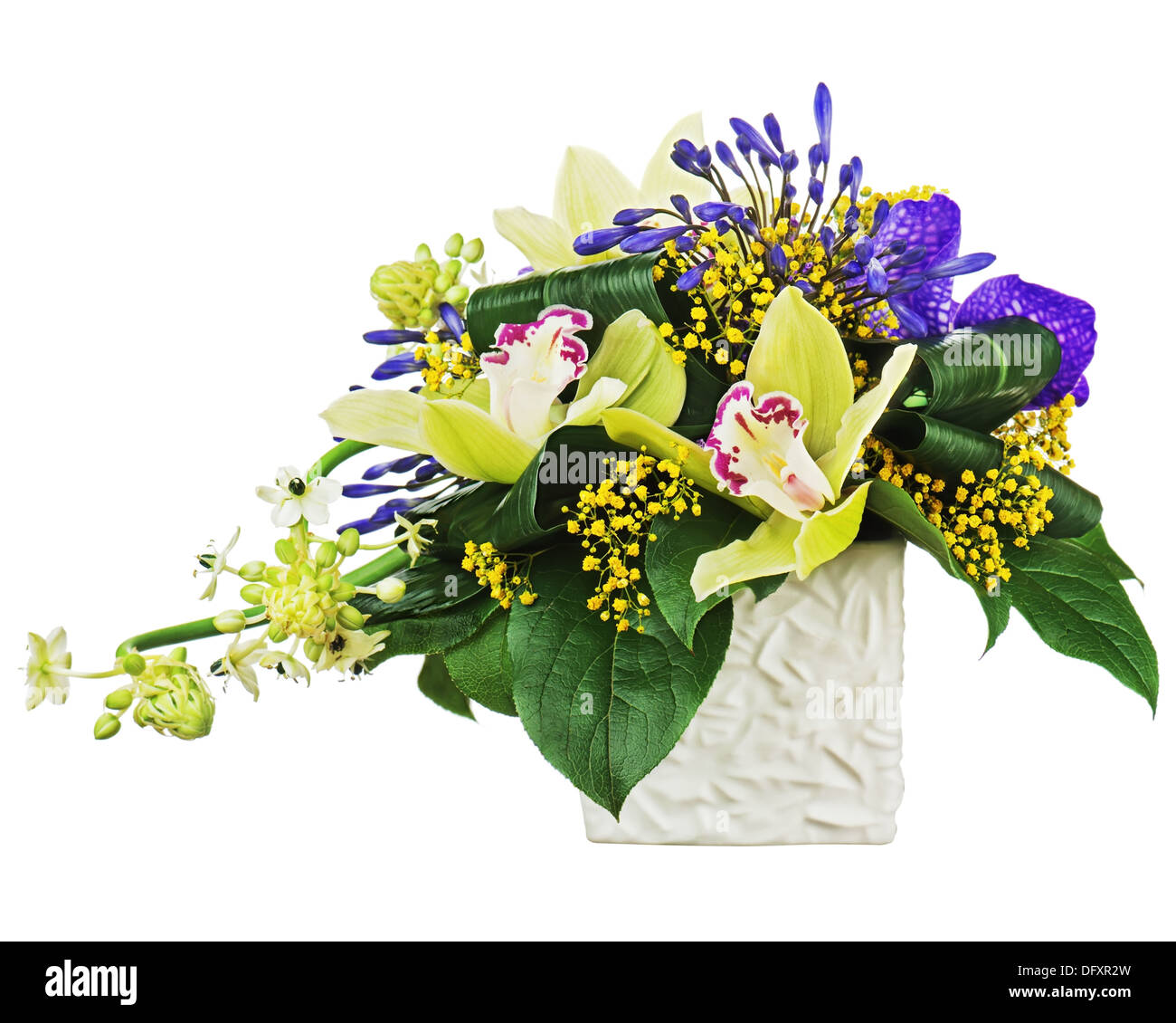 Bouquet from orchids and Arabian Star flower (Ornithogalum arabicum) in ...