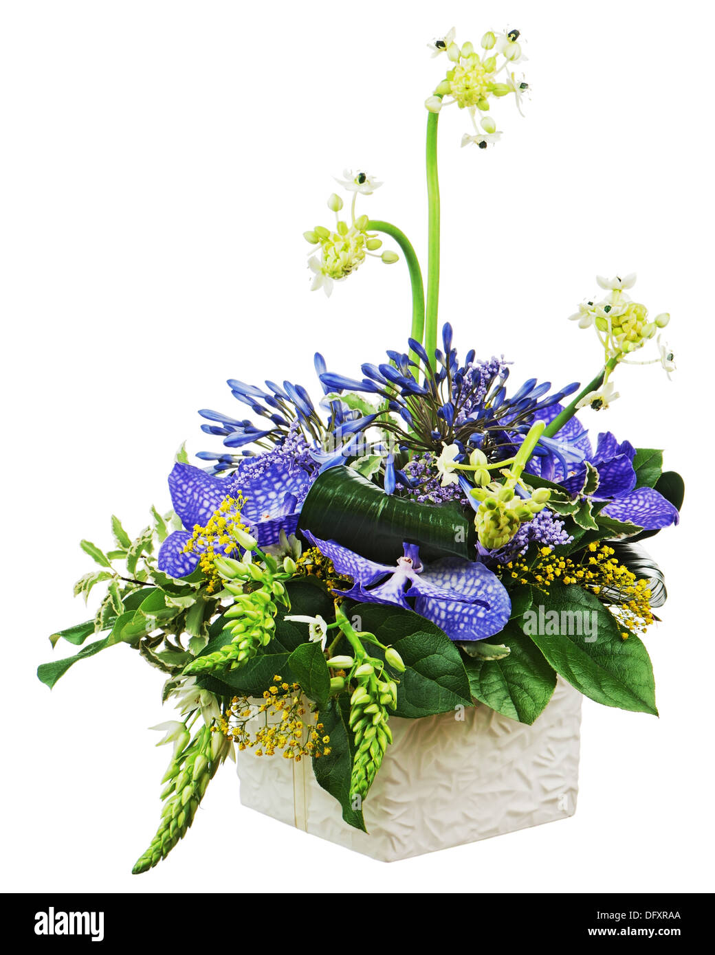 Bouquet from orchids and Arabian Star flower (Ornithogalum arabicum) in ...