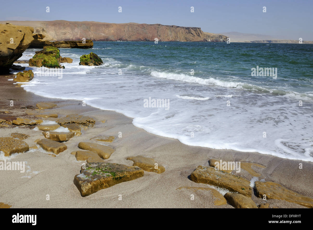 Paracas coast hi-res stock photography and images - Alamy