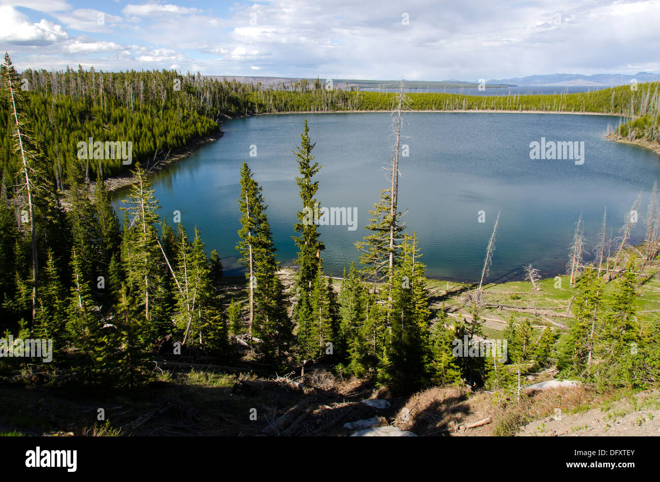 Wyotrees hi-res stock photography and images - Alamy