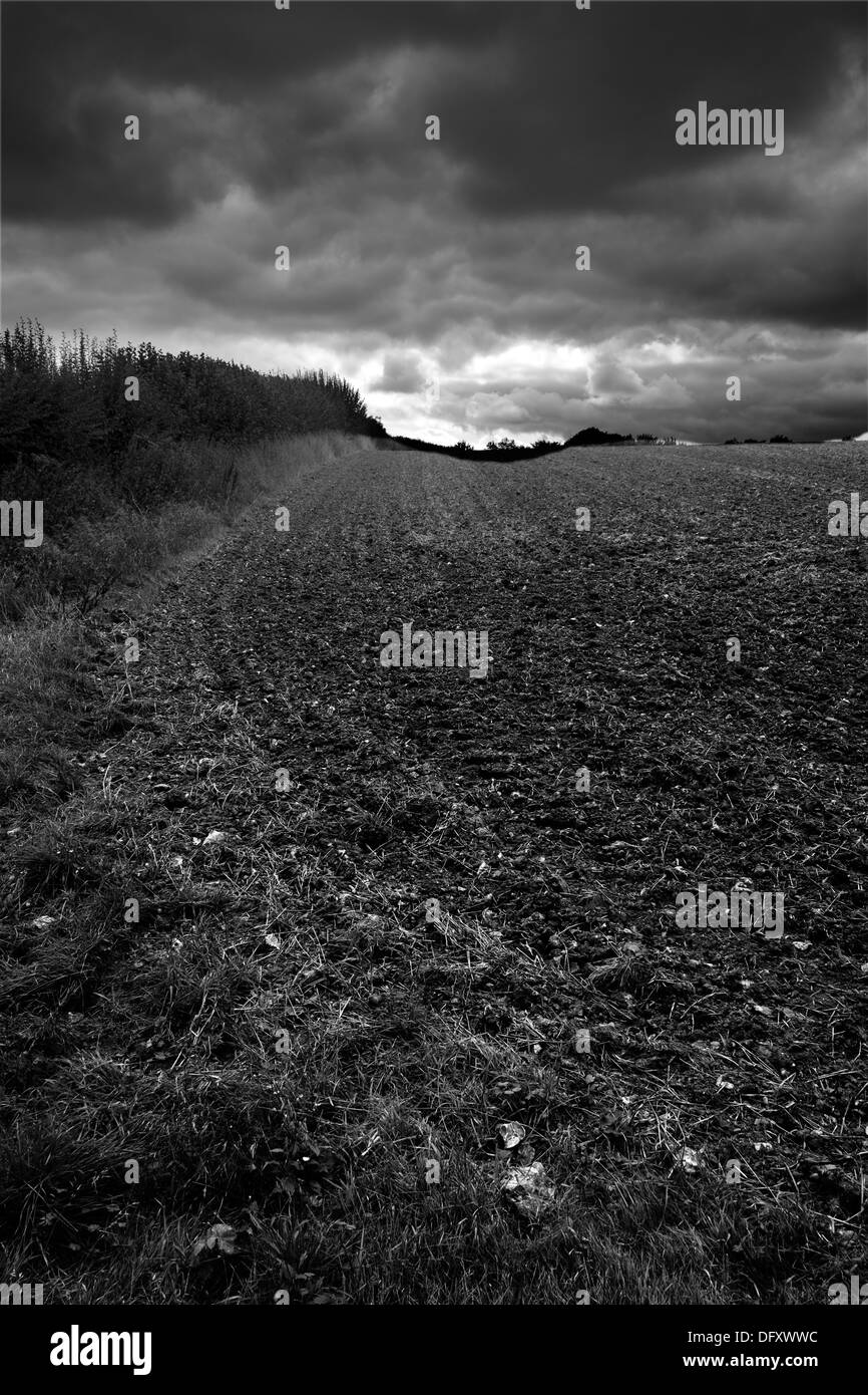 Harrowed field Black and White Stock Photos & Images - Alamy