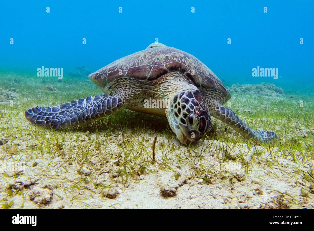 Mayotte Comores High Resolution Stock Photography and Images - Alamy