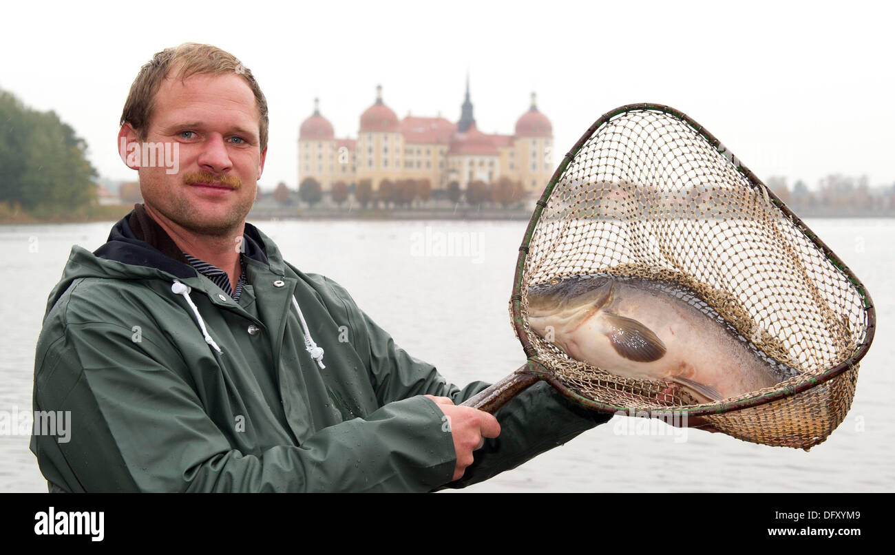 Fish farming moritzburg hi-res stock photography and images - Alamy