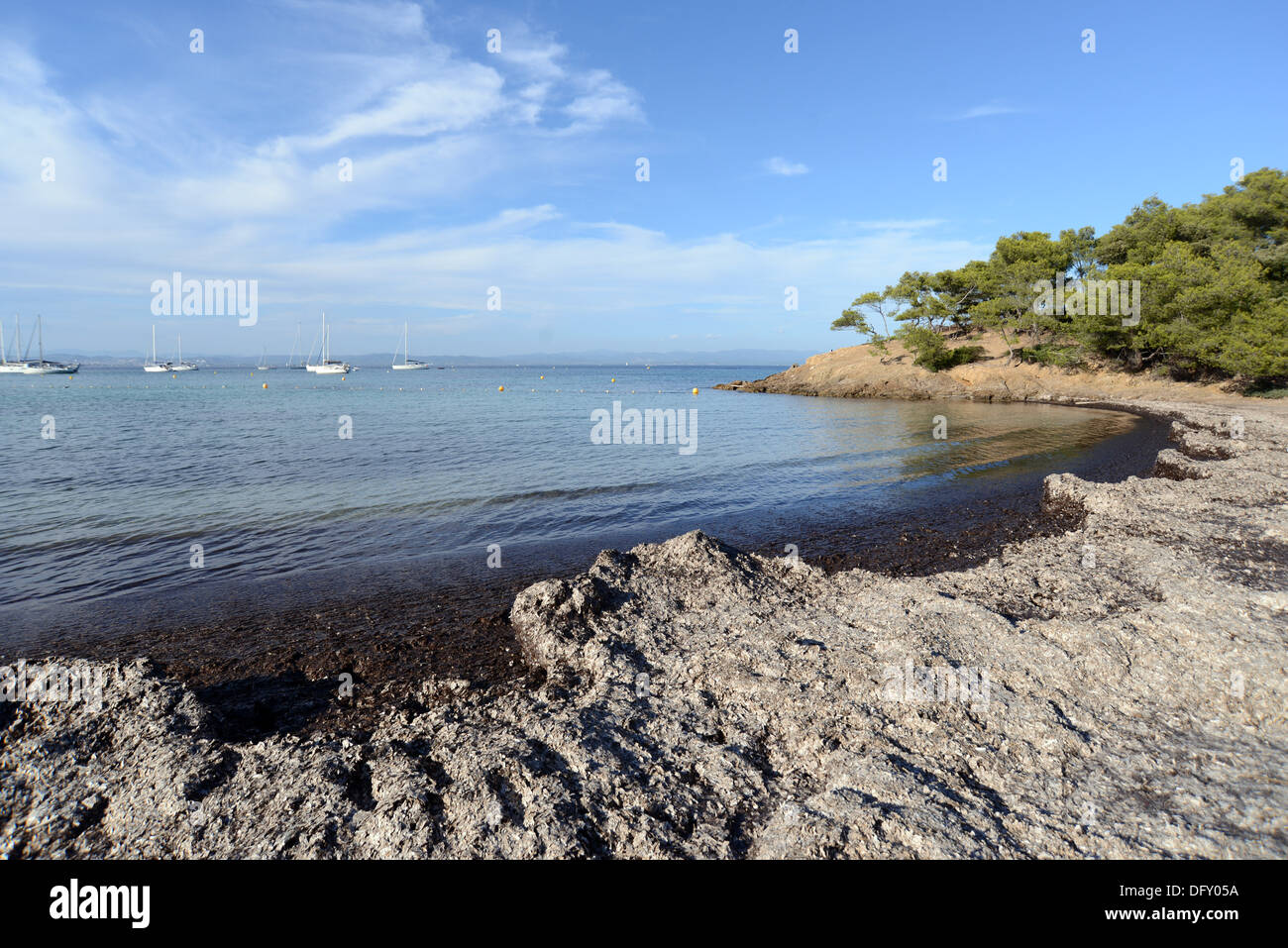 Beach on Porquerolles island, southern France Stock Photo - Alamy