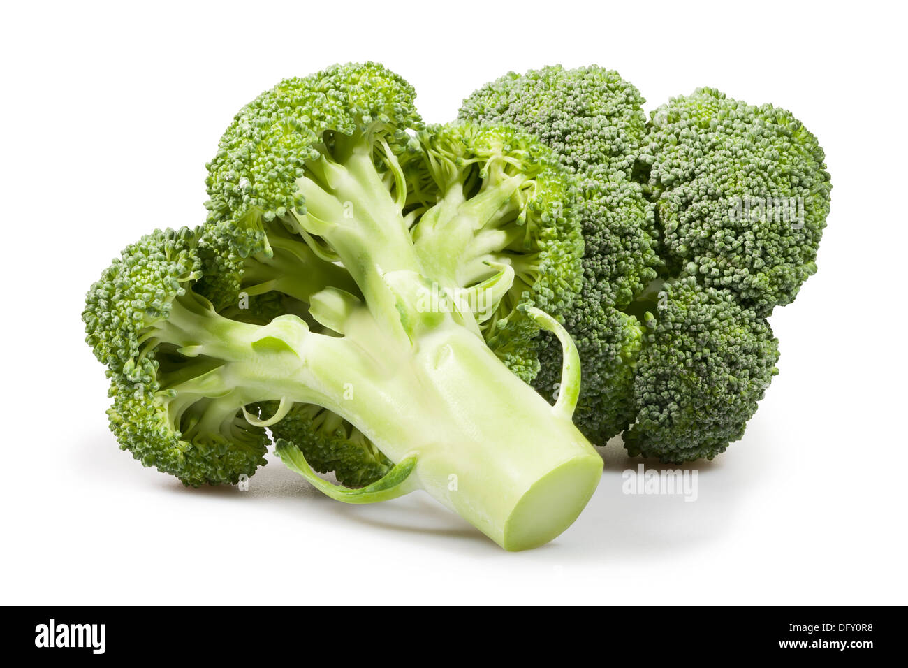broccoli group two on white background Stock Photo - Alamy