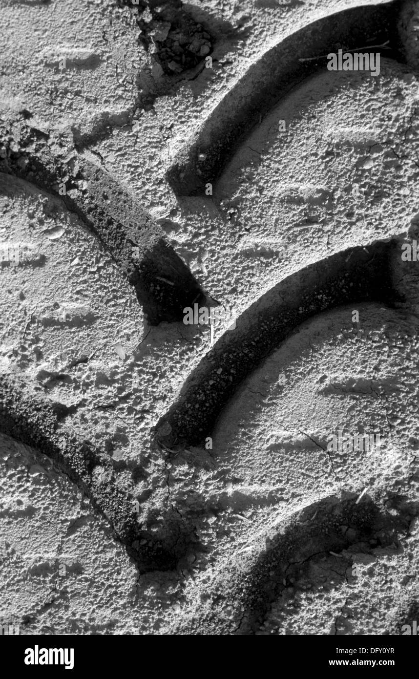 Profile of a soil hi-res stock photography and images - Alamy