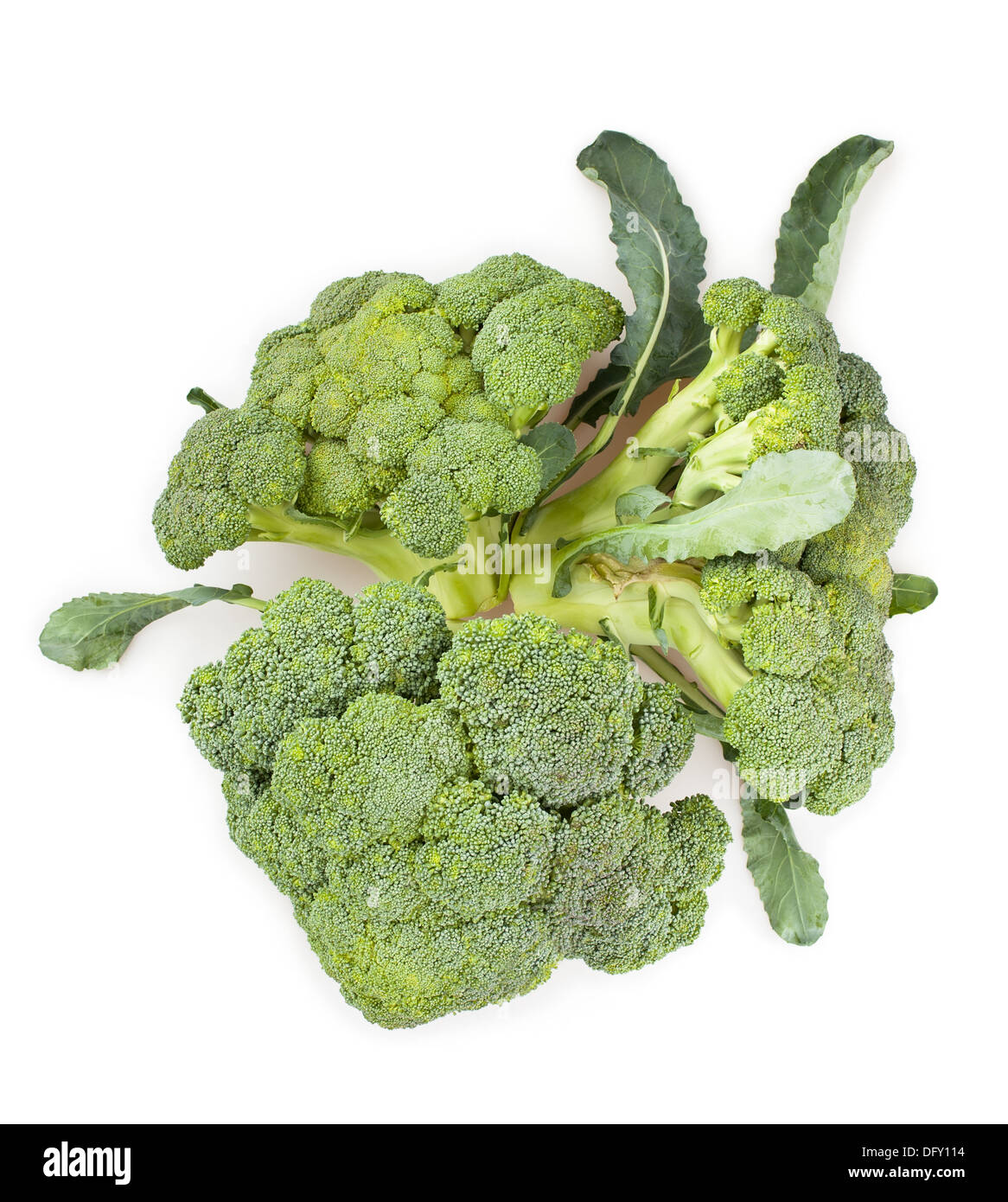 broccoli group on white background above Stock Photo - Alamy
