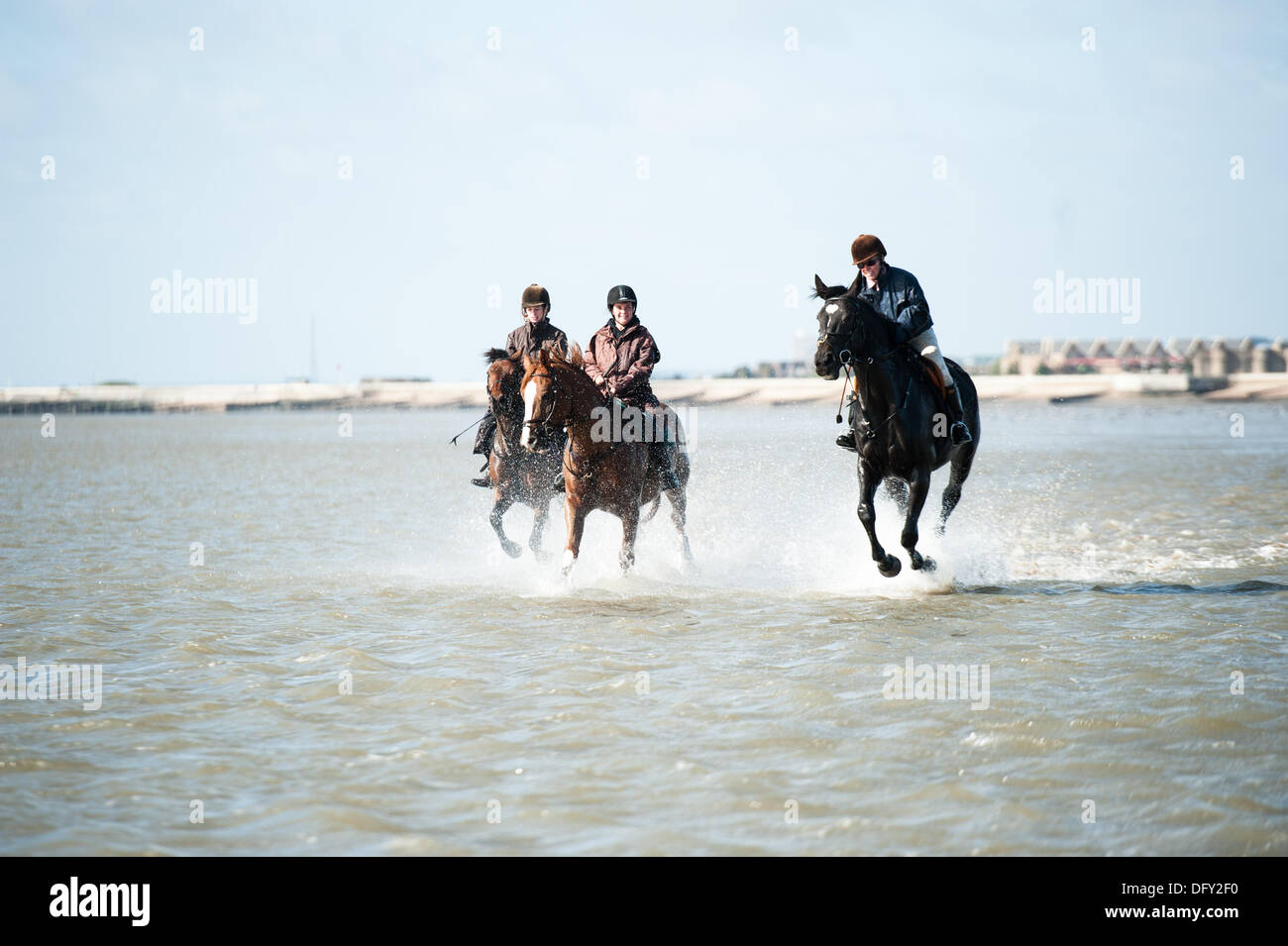 Maplin Sands, Shoeburyness, Essex. 10th Oct, 2013. Even with gale force ...