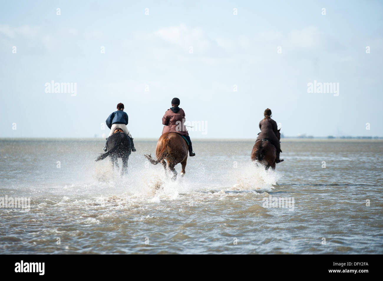Maplin Sands, Shoeburyness, Essex. 10th Oct, 2013. Even with gale force ...