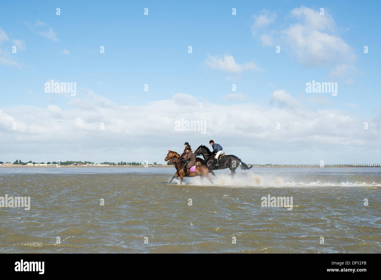 Maplin Sands, Shoeburyness, Essex. 10th Oct, 2013. Even with gale force ...