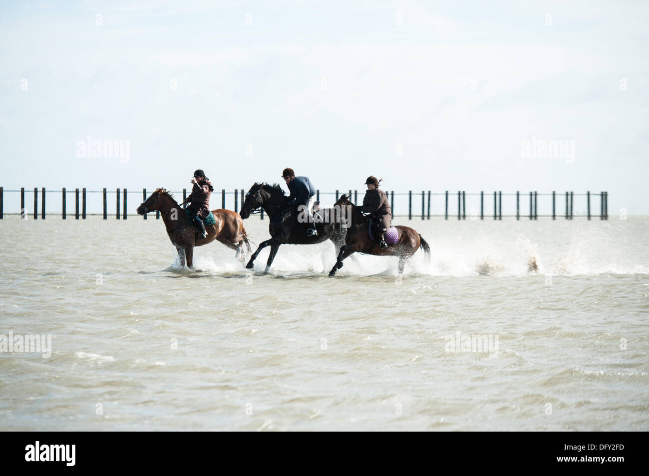 Maplin sands hi-res stock photography and images - Alamy