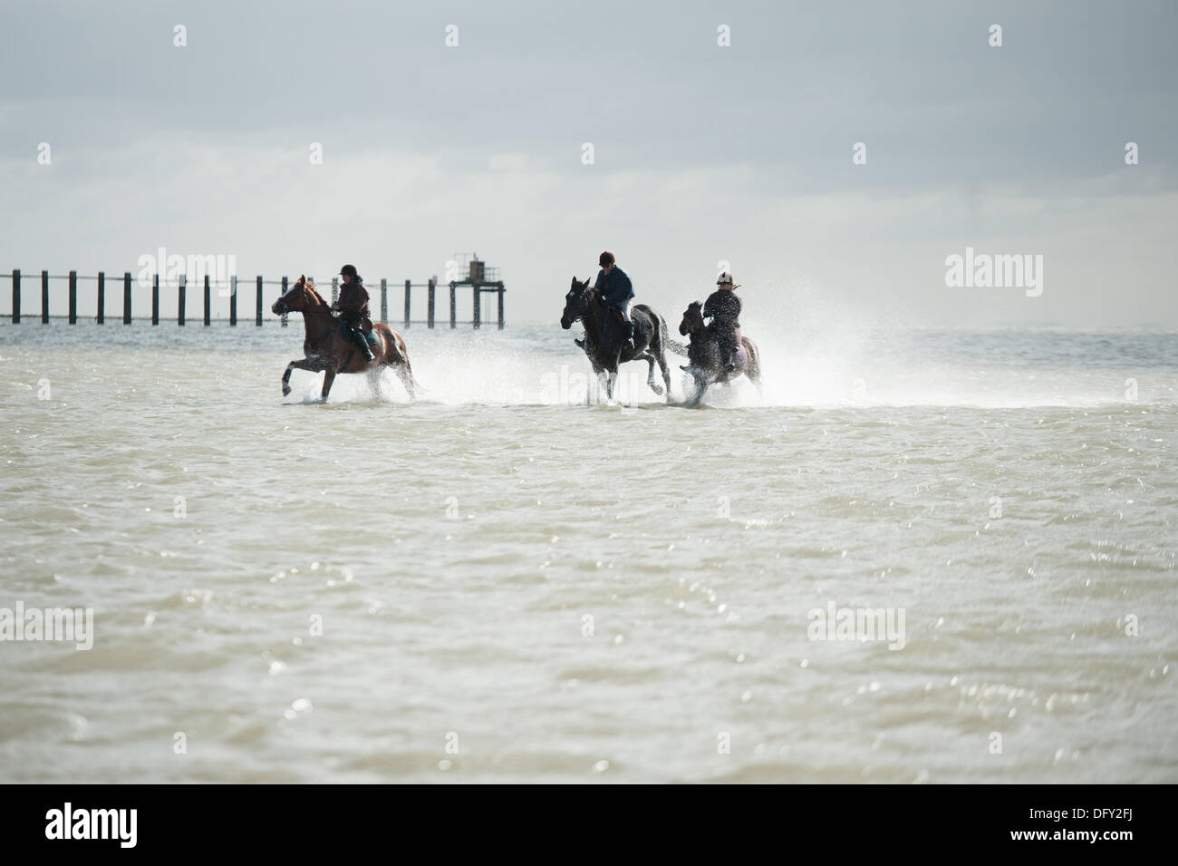 Maplin sands essex hi-res stock photography and images - Alamy