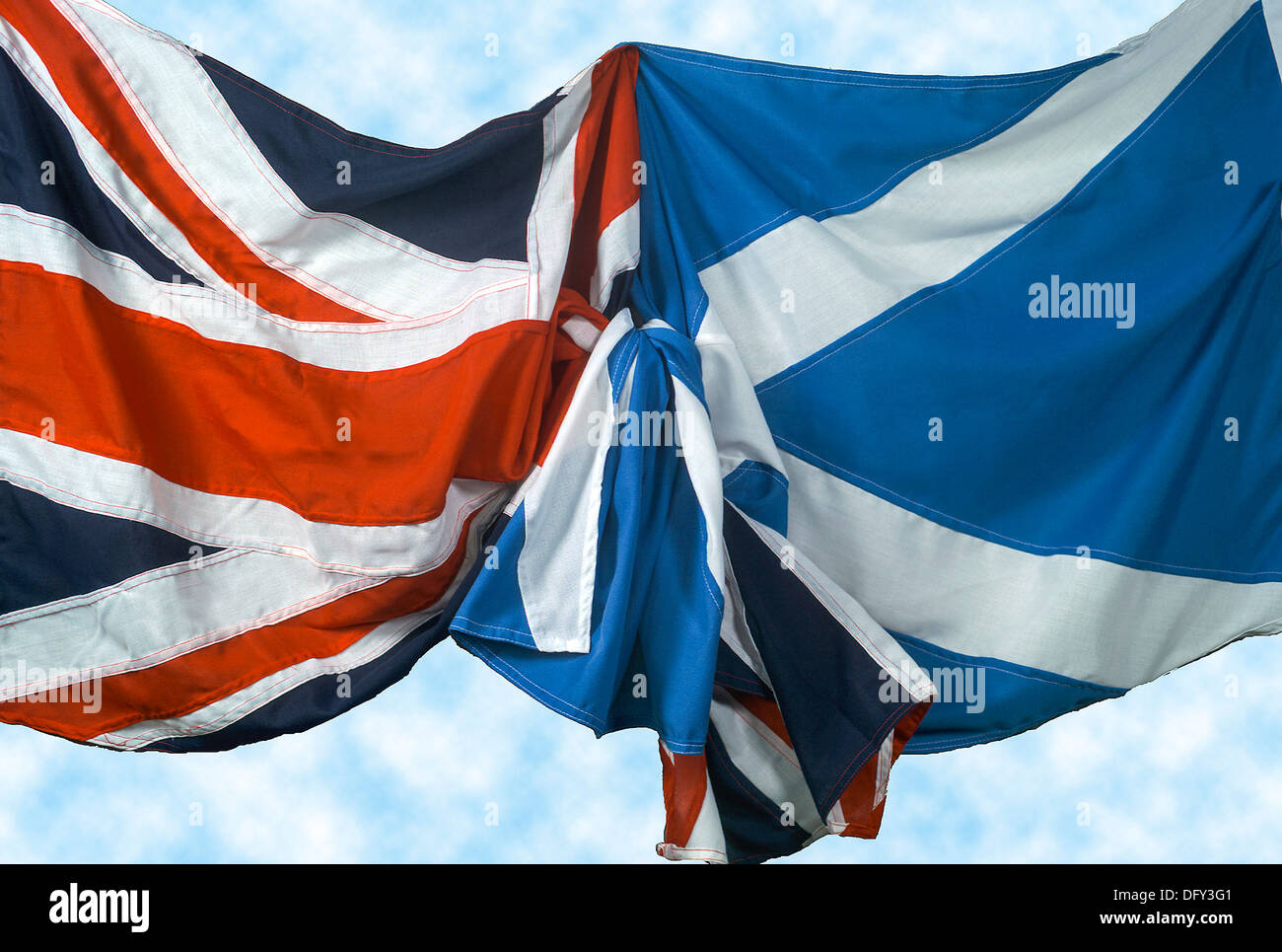 UK Union Jack flag and Scottish Saltire St Andrew's cross flag in a ...