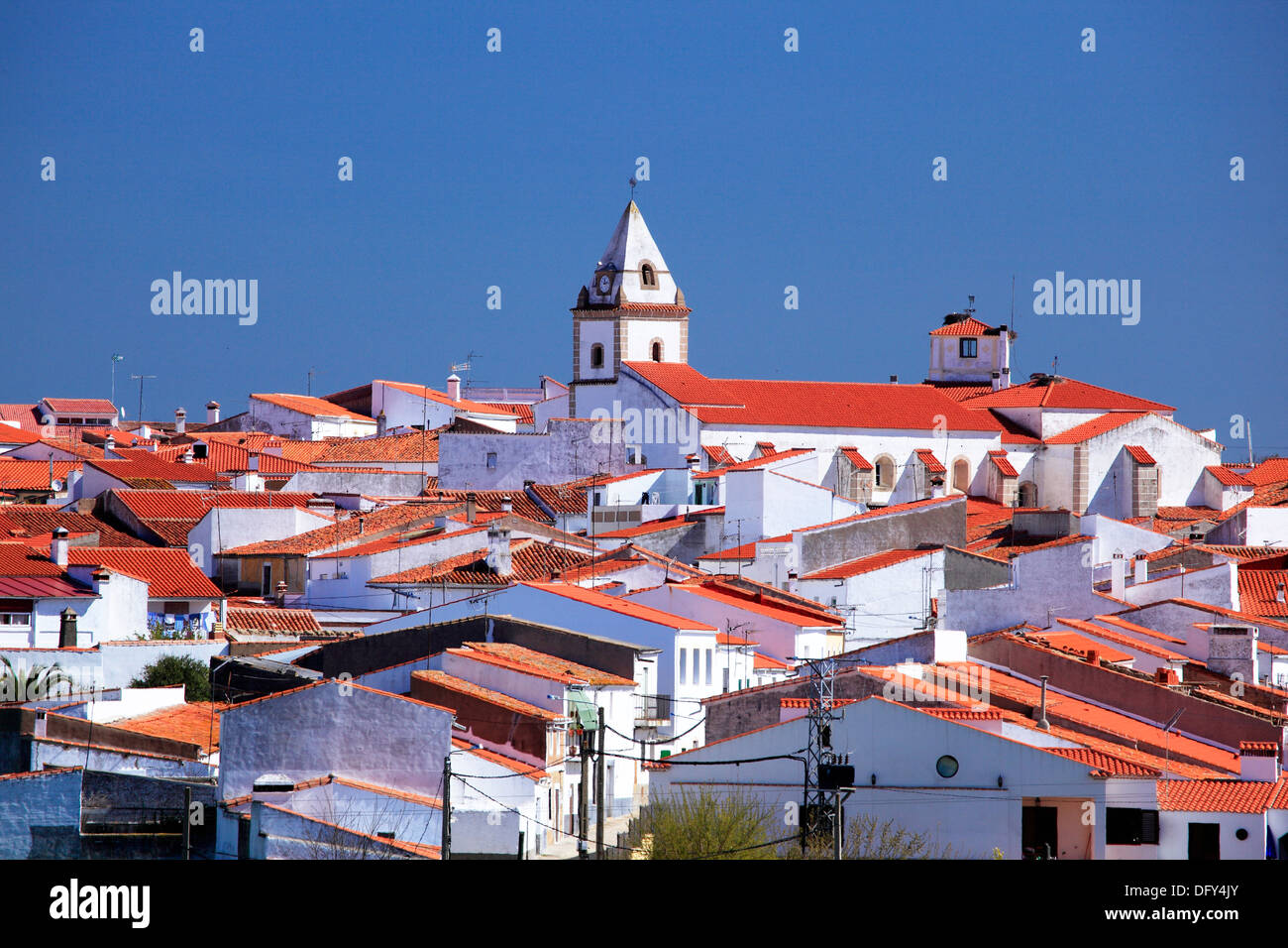 Membrio hi-res stock photography and images - Alamy