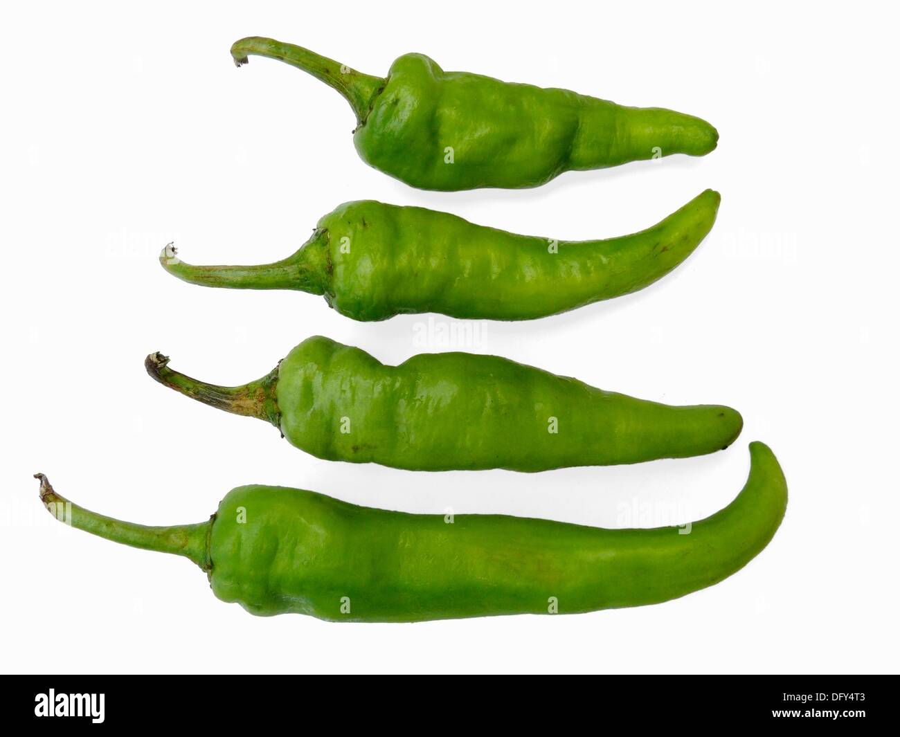 Common chili hi-res stock photography and images - Alamy