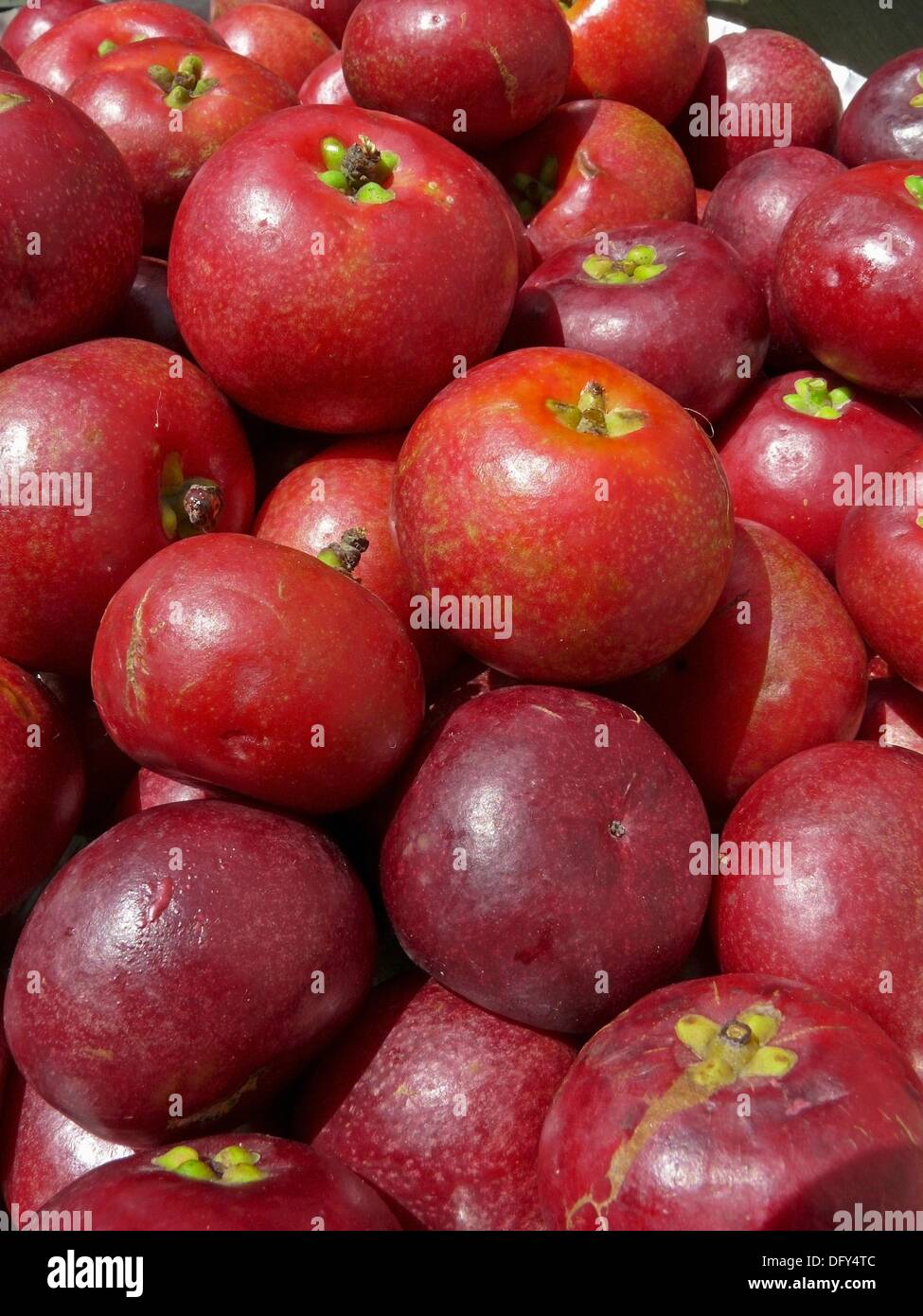 Kokam High Resolution Stock Photography and Images - Alamy