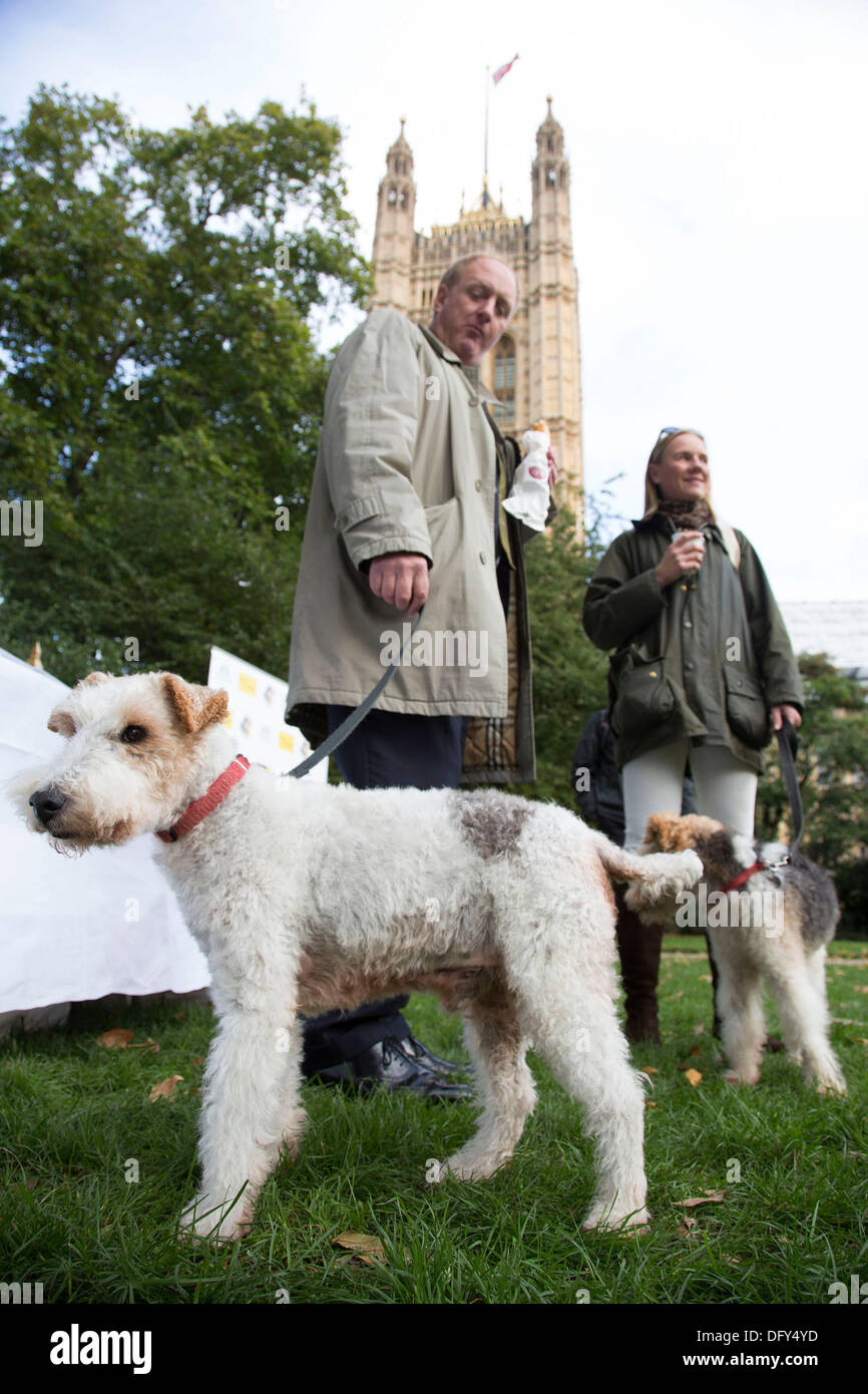 London, UK. Thursday 10th October 2013. Simon Reevell MP with his Wire ...