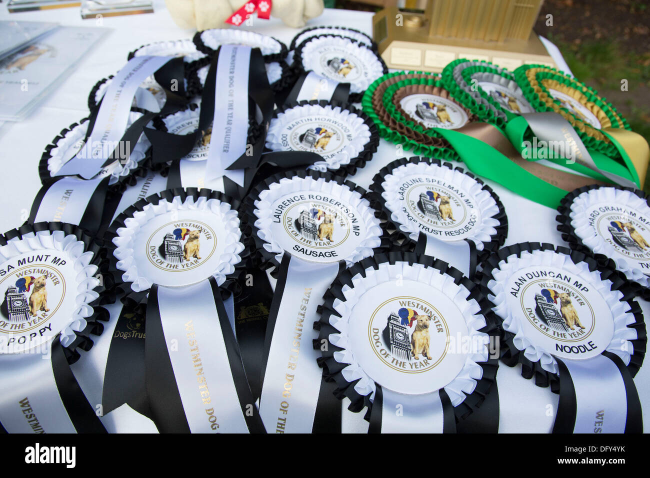 London, UK. Thursday 10th October 2013. MPs and their dogs competing in ...