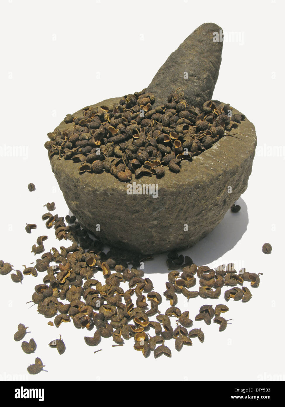 Species Added Stock Photos & Species Added Stock Images - Alamy