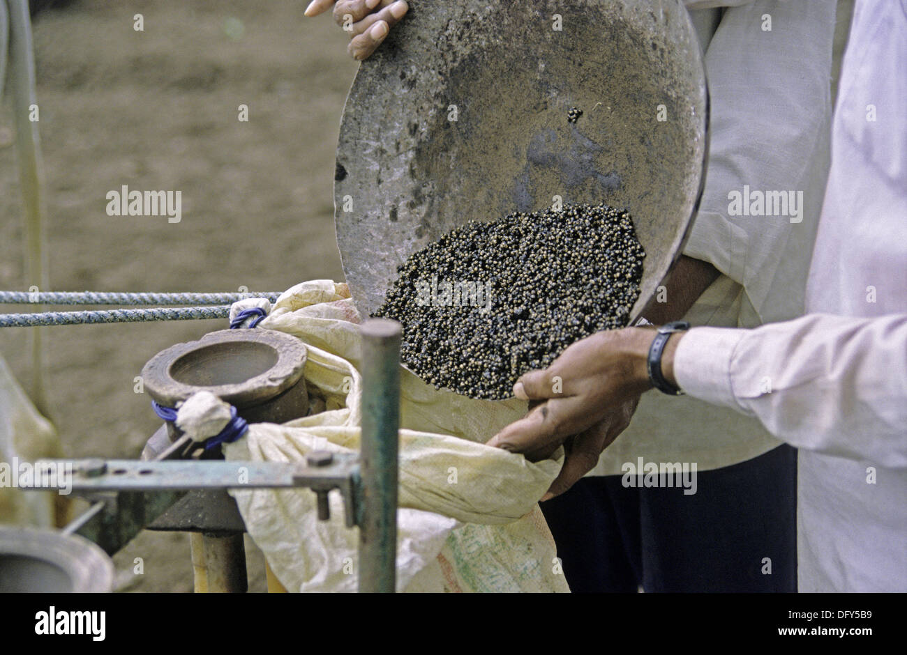 Farmer Sowing Seeds Stock Photos & Farmer Sowing Seeds Stock Images - Alamy