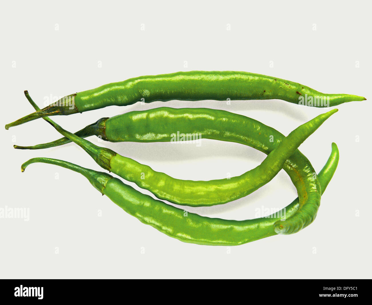 Capsicum annuum - Common Chili. Common vegetable Stock Photo - Alamy