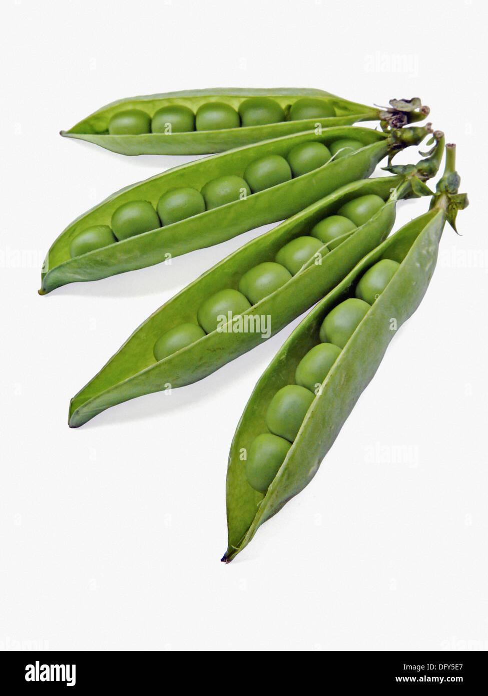 Three leaflets hi-res stock photography and images - Alamy