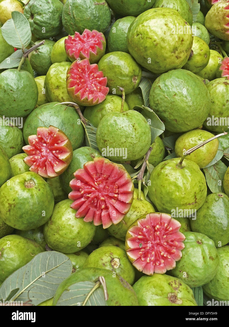Red guavas for sale at street market hi-res stock photography and ...
