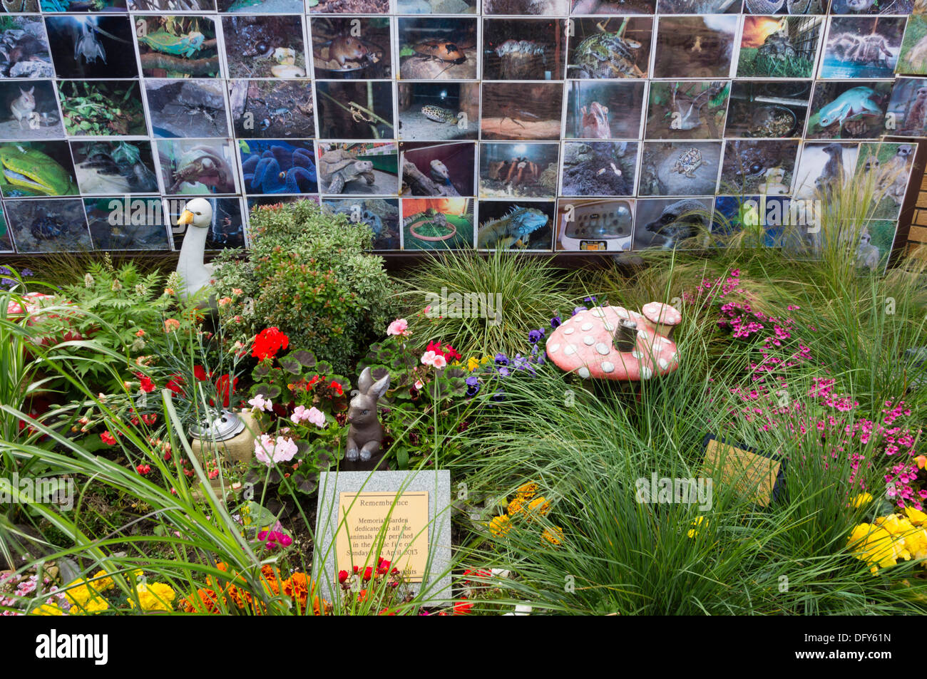 Five Sisters Zoo, Polbeth, Scotland - memorial garden for animals lost ...