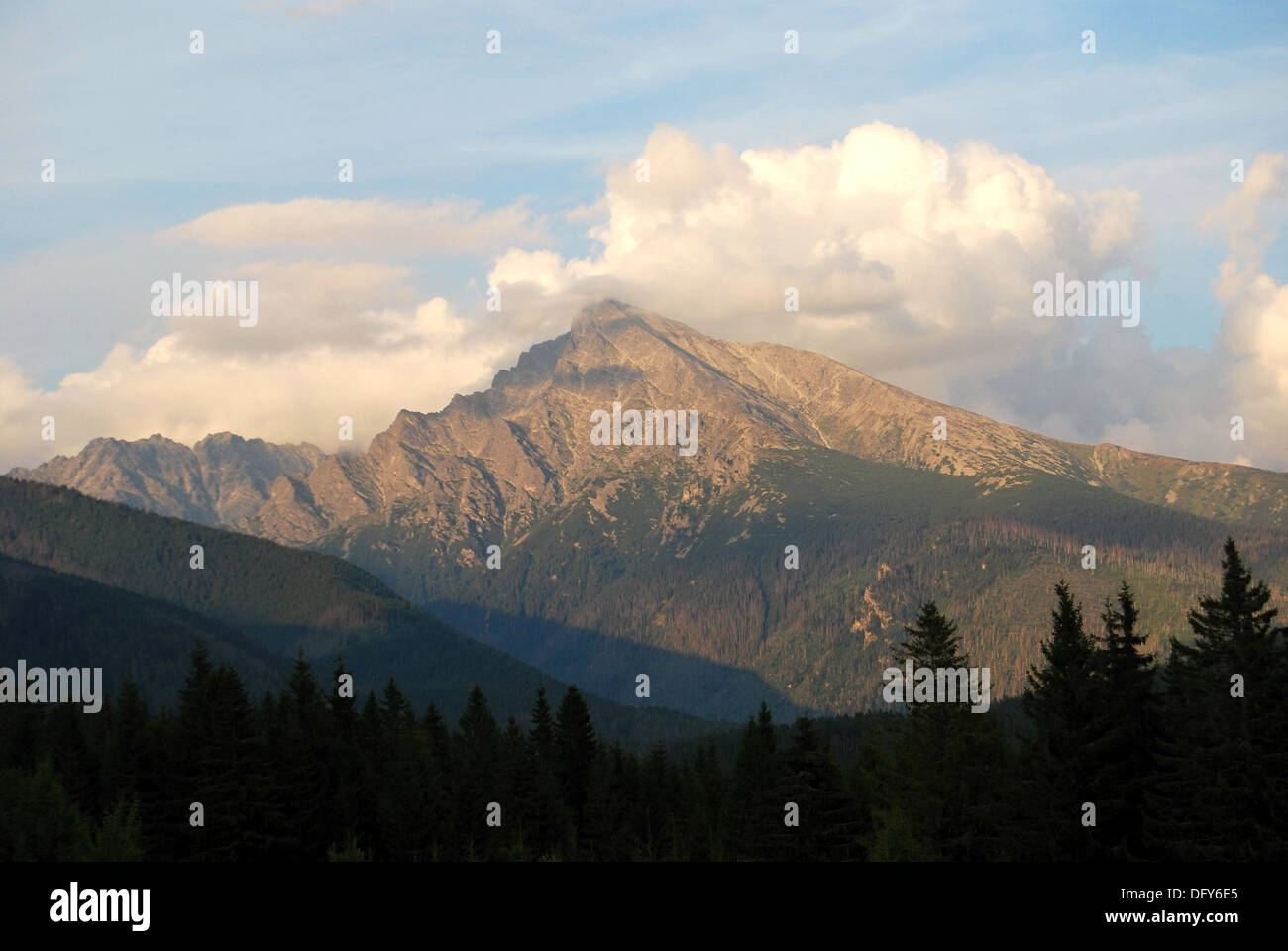 Krivan peak on summer sunset Stock Photo - Alamy