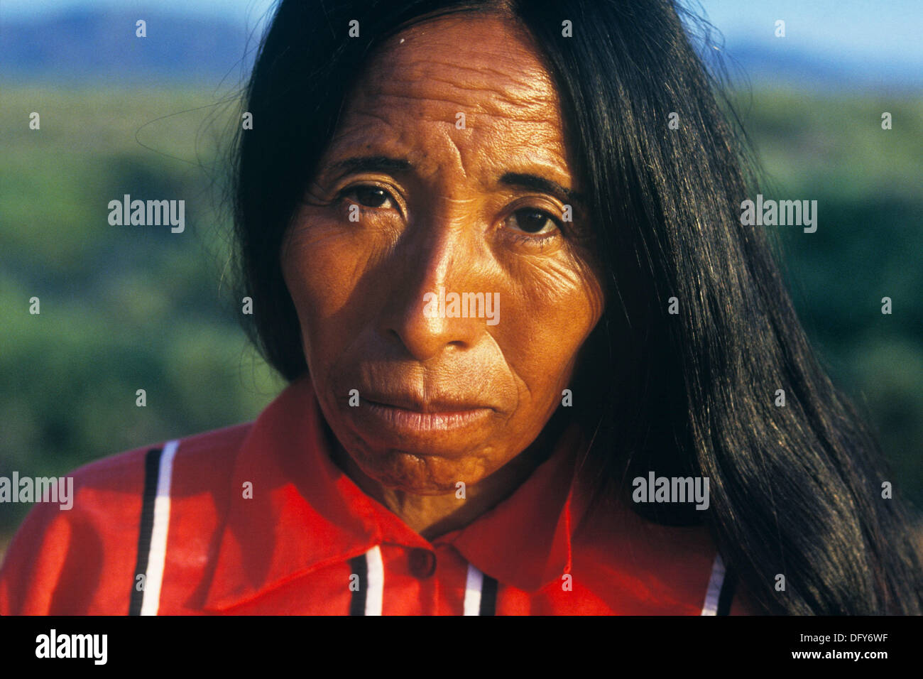 Seri Sonora High Resolution Stock Photography and Images - Alamy