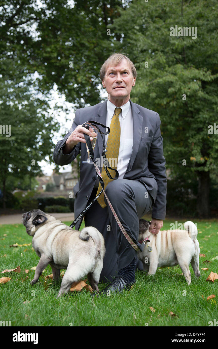 Bond between two dogs hi-res stock photography and images - Alamy