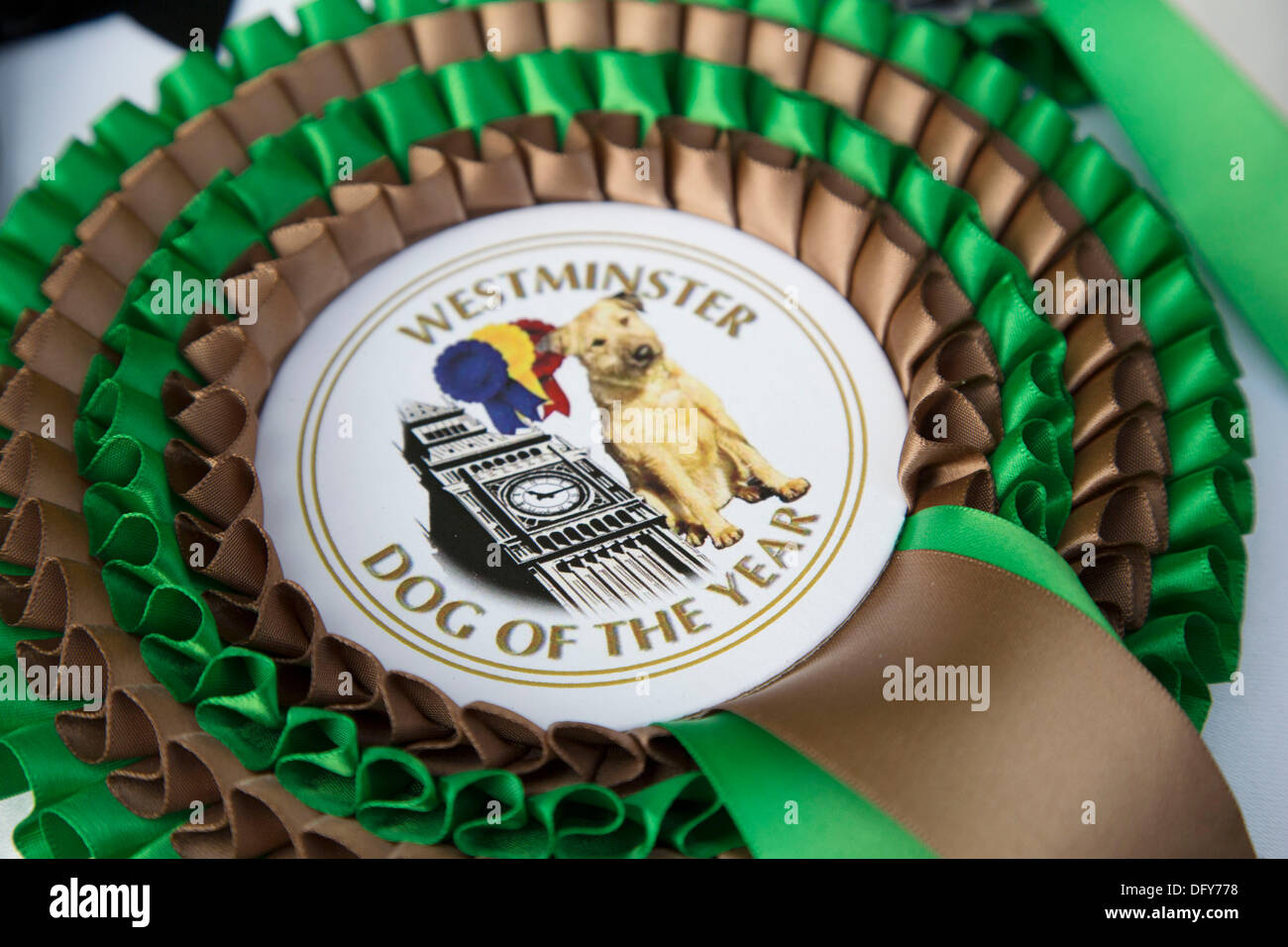 London, UK. Thursday 10th October 2013. MPs and their dogs competing in ...