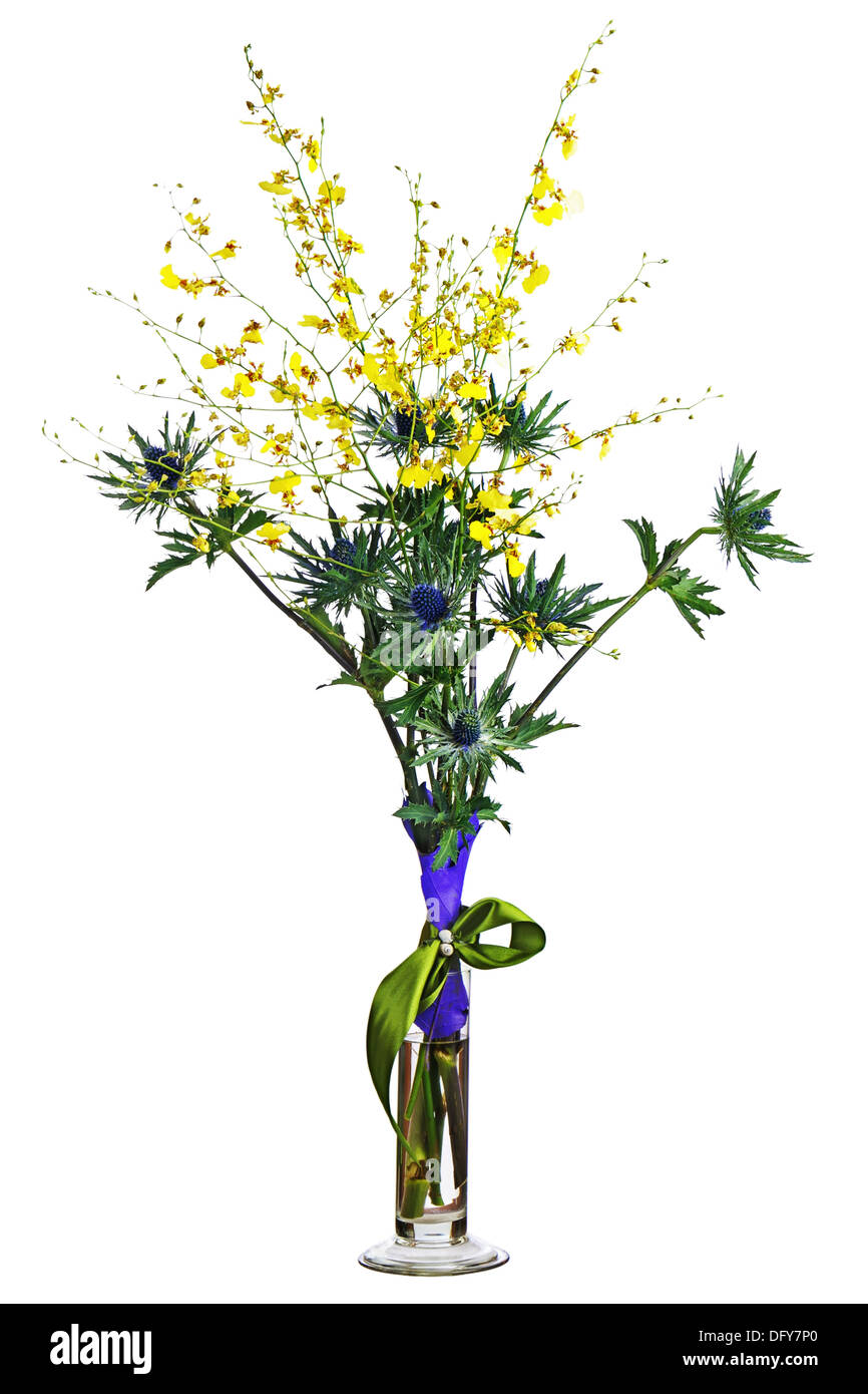 Miniature orchids and eryngium flowers in vase isolated on white ...