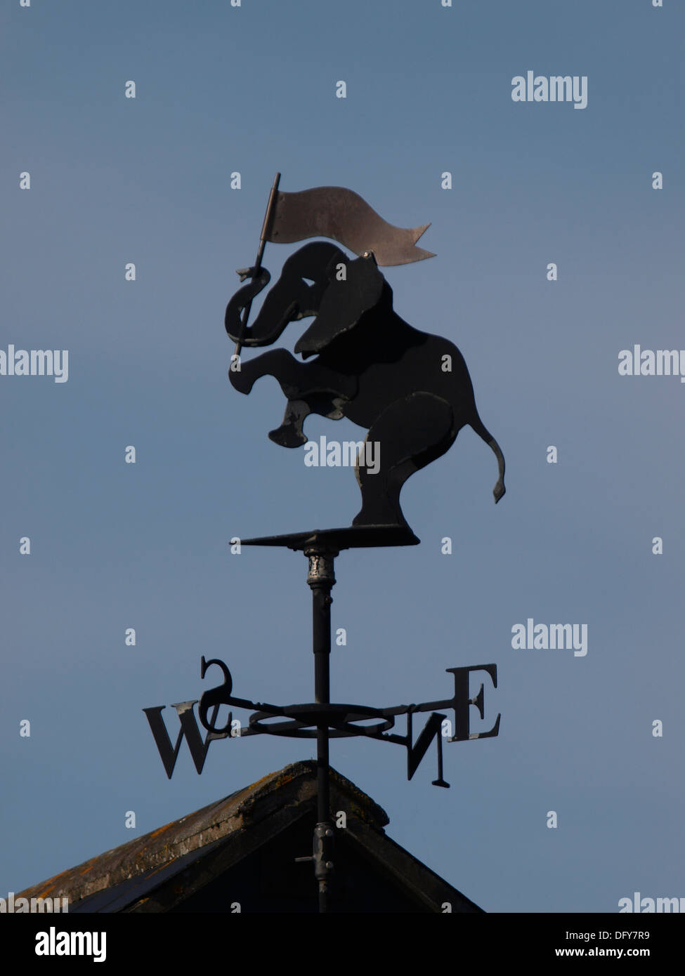 Elephant weathervane, UK Stock Photo - Alamy