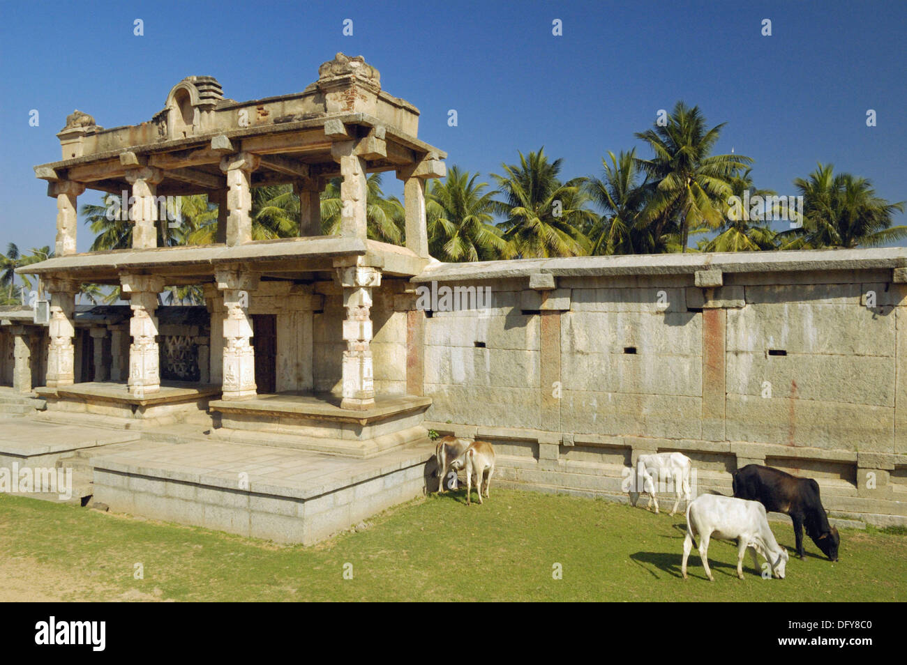 Butten hi-res stock photography and images - Alamy