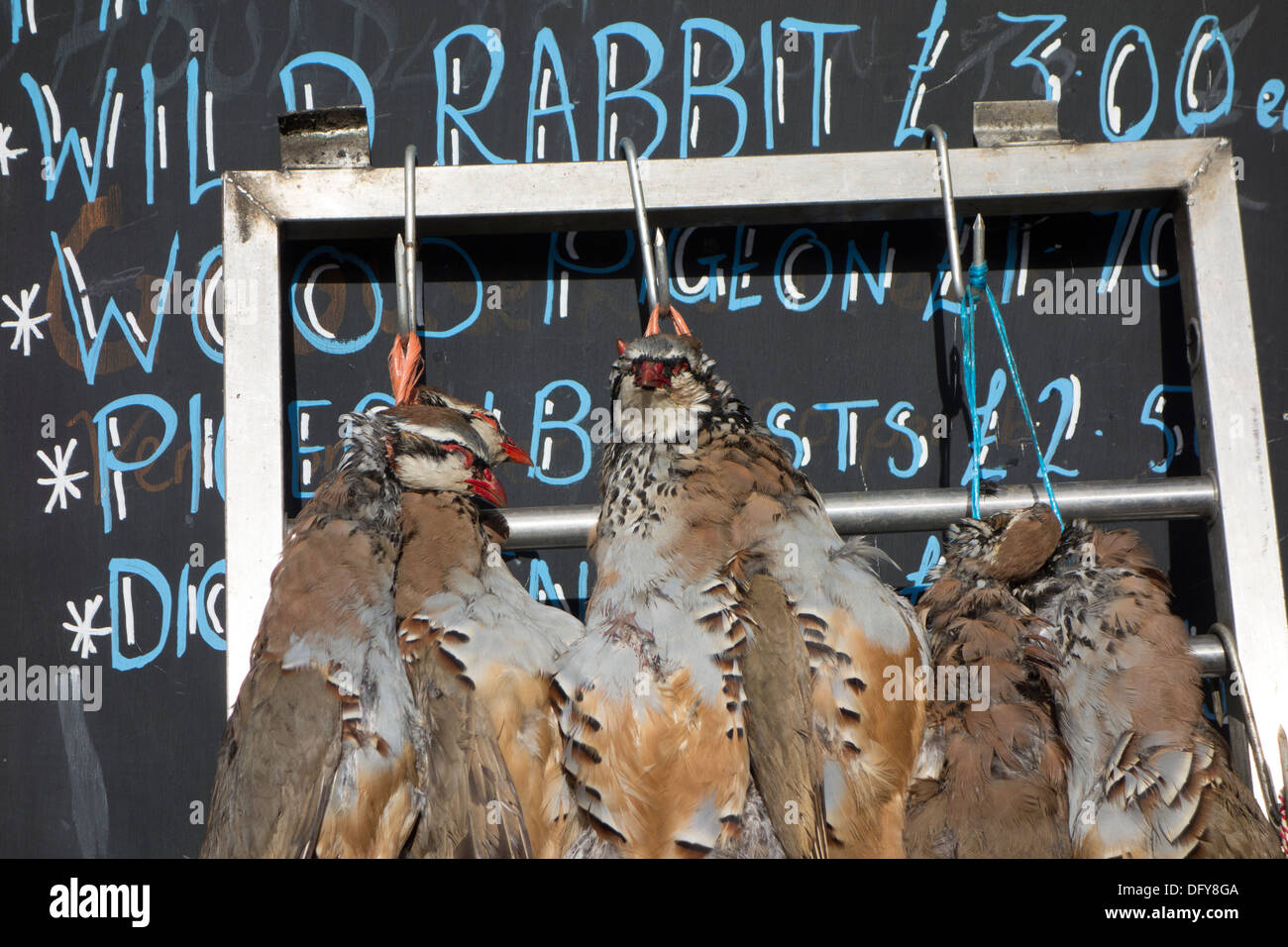 Lunch menu: dead grouse hanging on display at a butcher's stall on ...