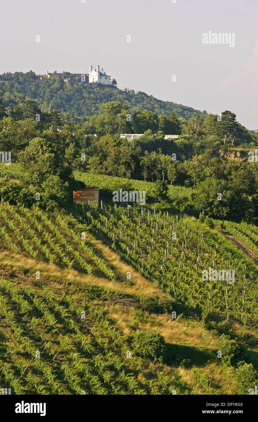 Austrian grinzing grinzing hi-res stock photography and images - Alamy