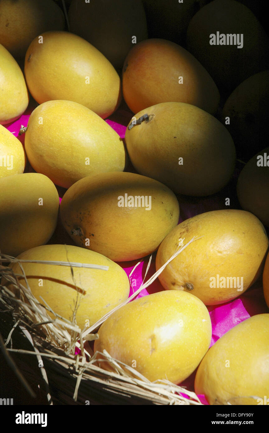 Round mangoes hi-res stock photography and images - Alamy