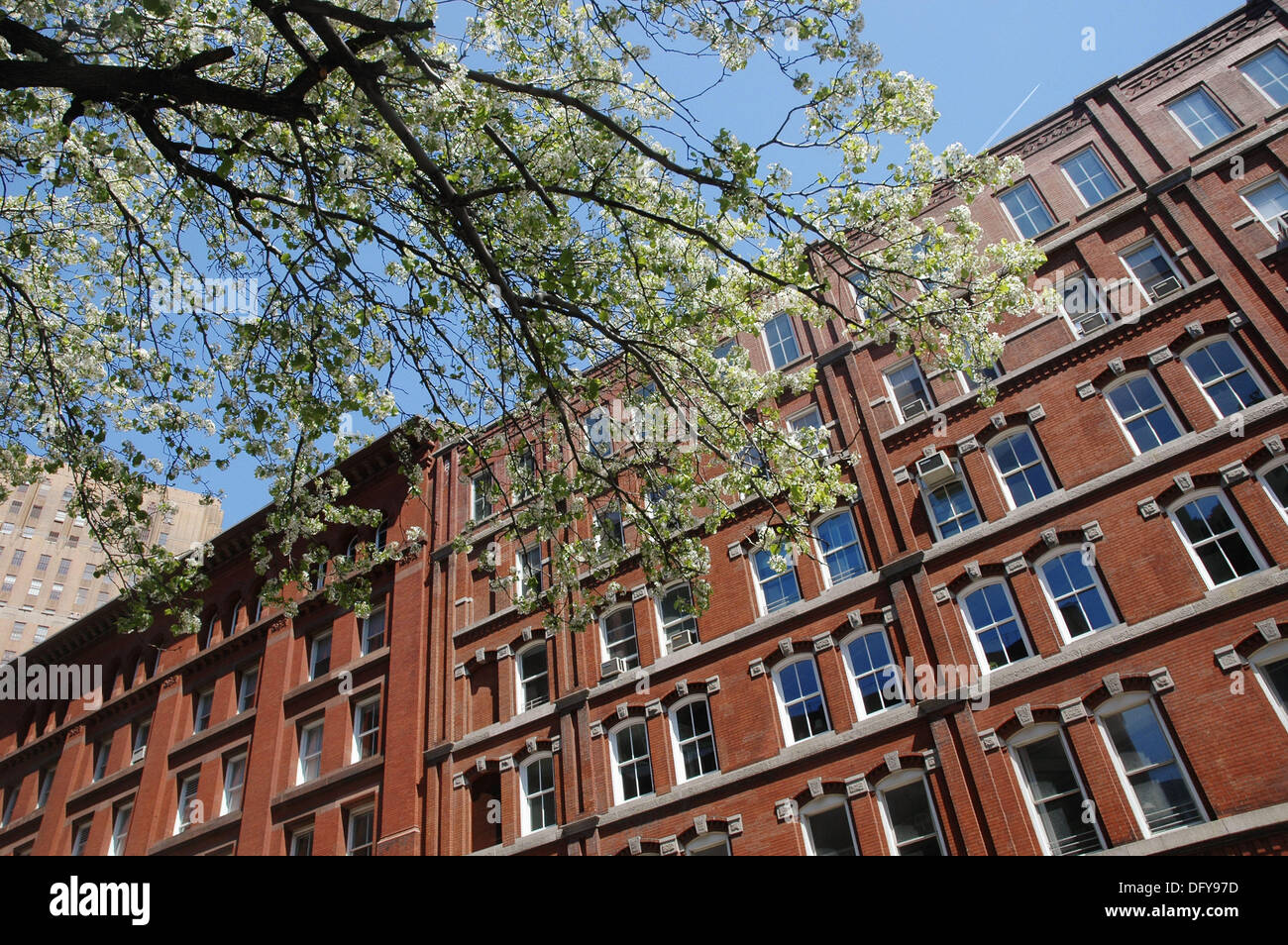 Old buildings in tribeca hi-res stock photography and images - Alamy