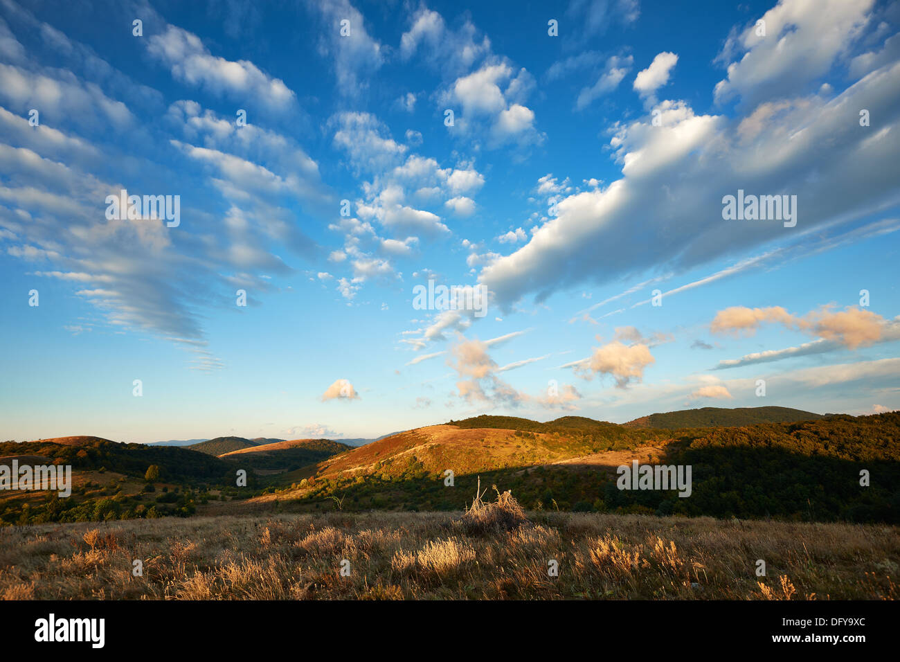 Central balkan mountains hi-res stock photography and images - Alamy